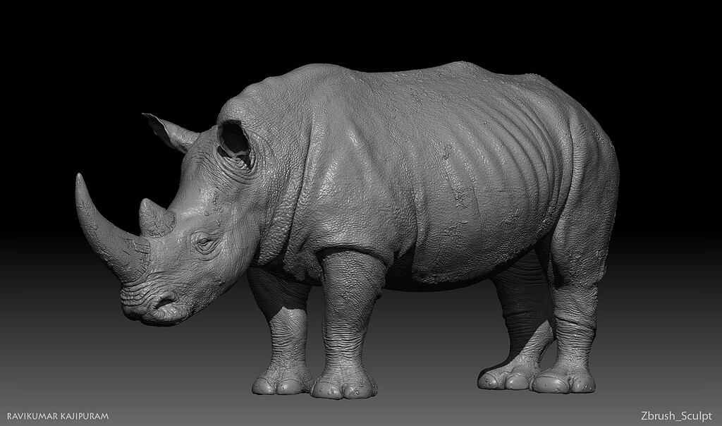 Rhino Zbrush Sculpt - ZBrushCentral