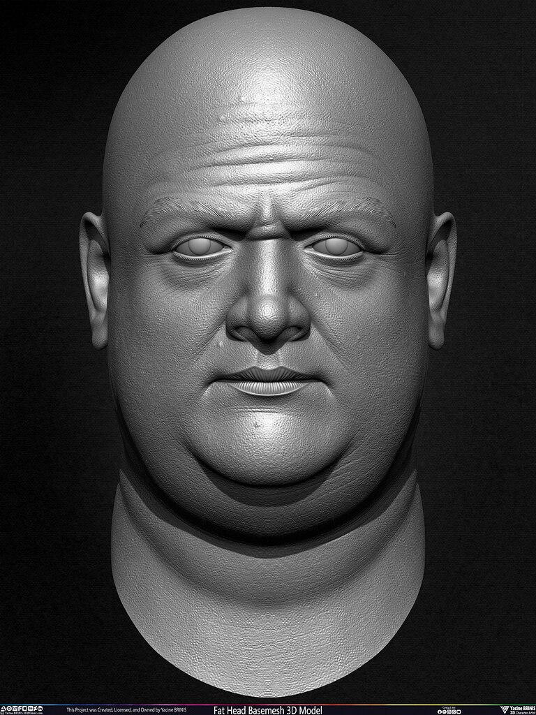 Fat Head Basemesh 3D Model - ZBrushCentral