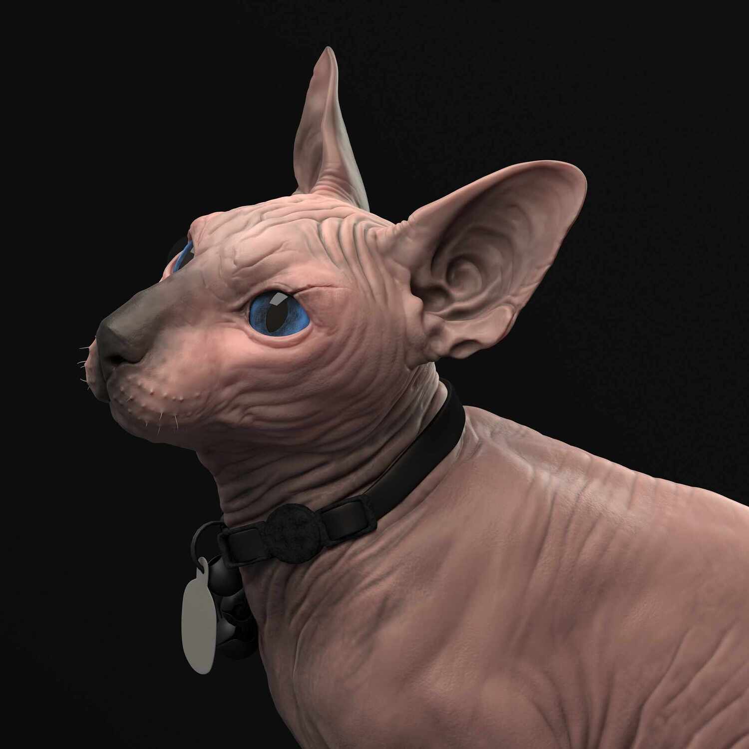 Sphynx Cat - ZBrushCentral