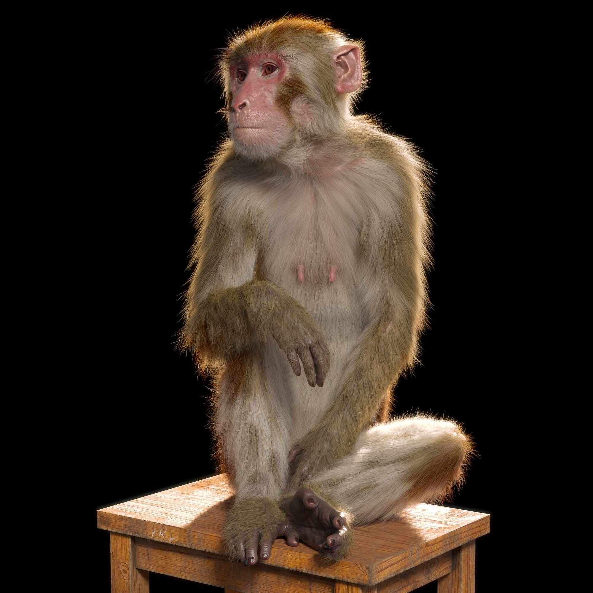 Model in studio - ZBrushCentral