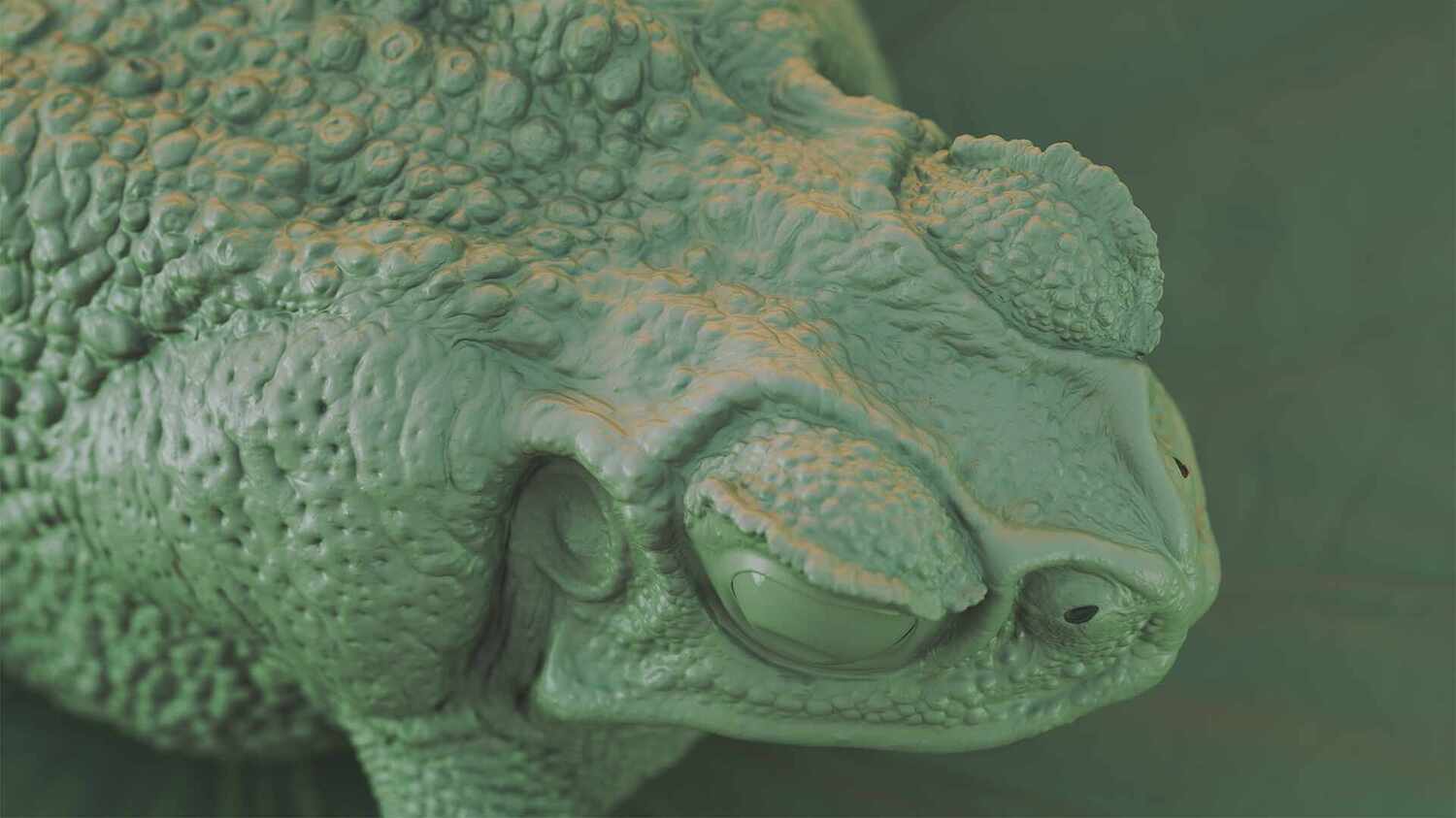 Toad - ZBrushCentral