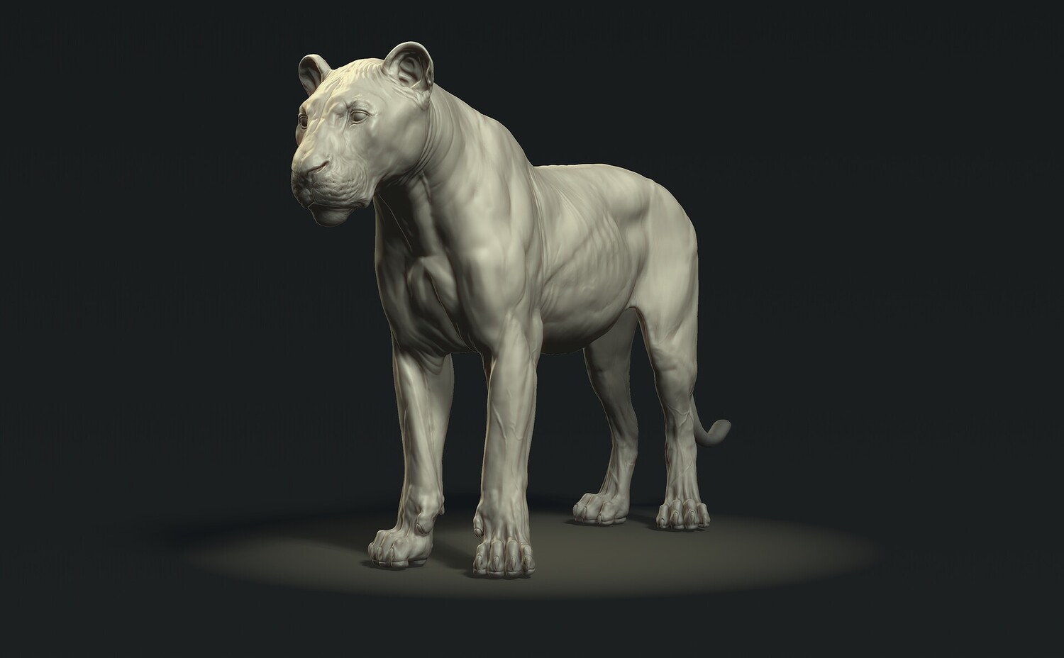 Lioness anatomy study - ZBrushCentral
