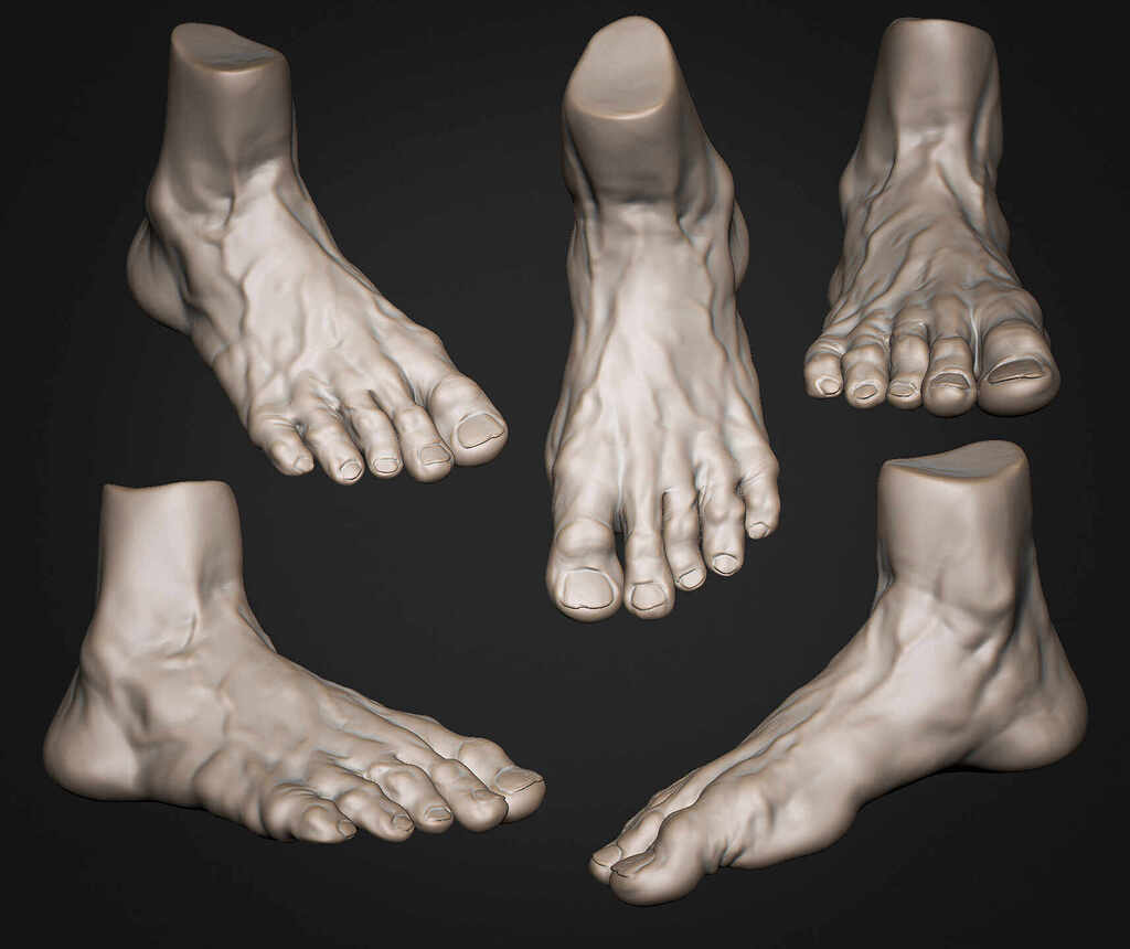 Foot - ZBrushCentral