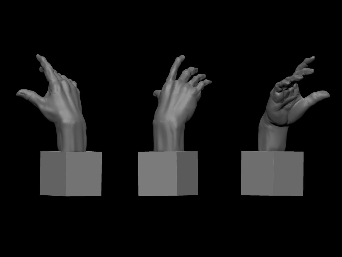 Rodin Hand Study - ZBrushCentral