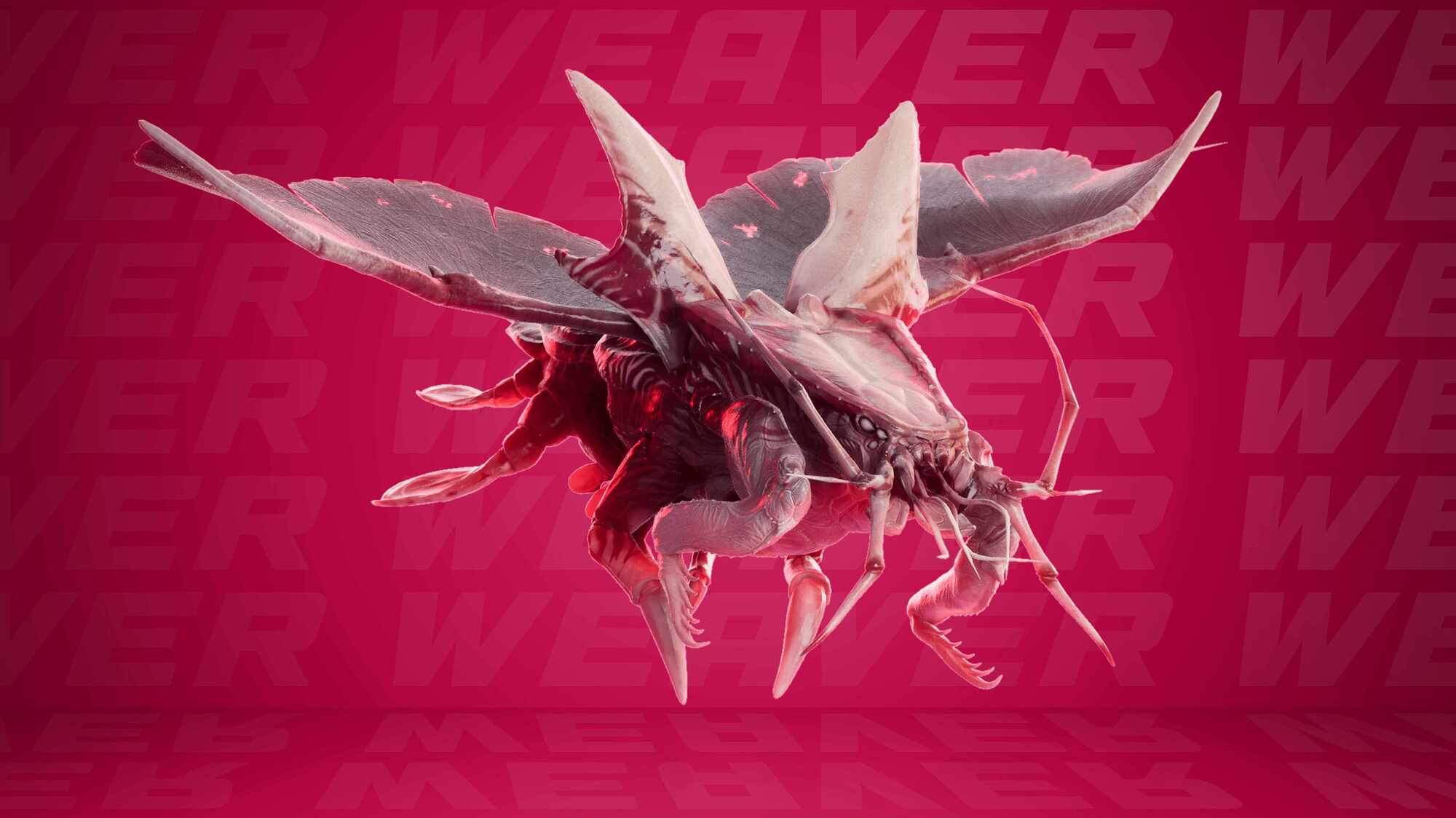 "Weaver" / Game ready creature by Amedeo Conti - ZBrushCentral