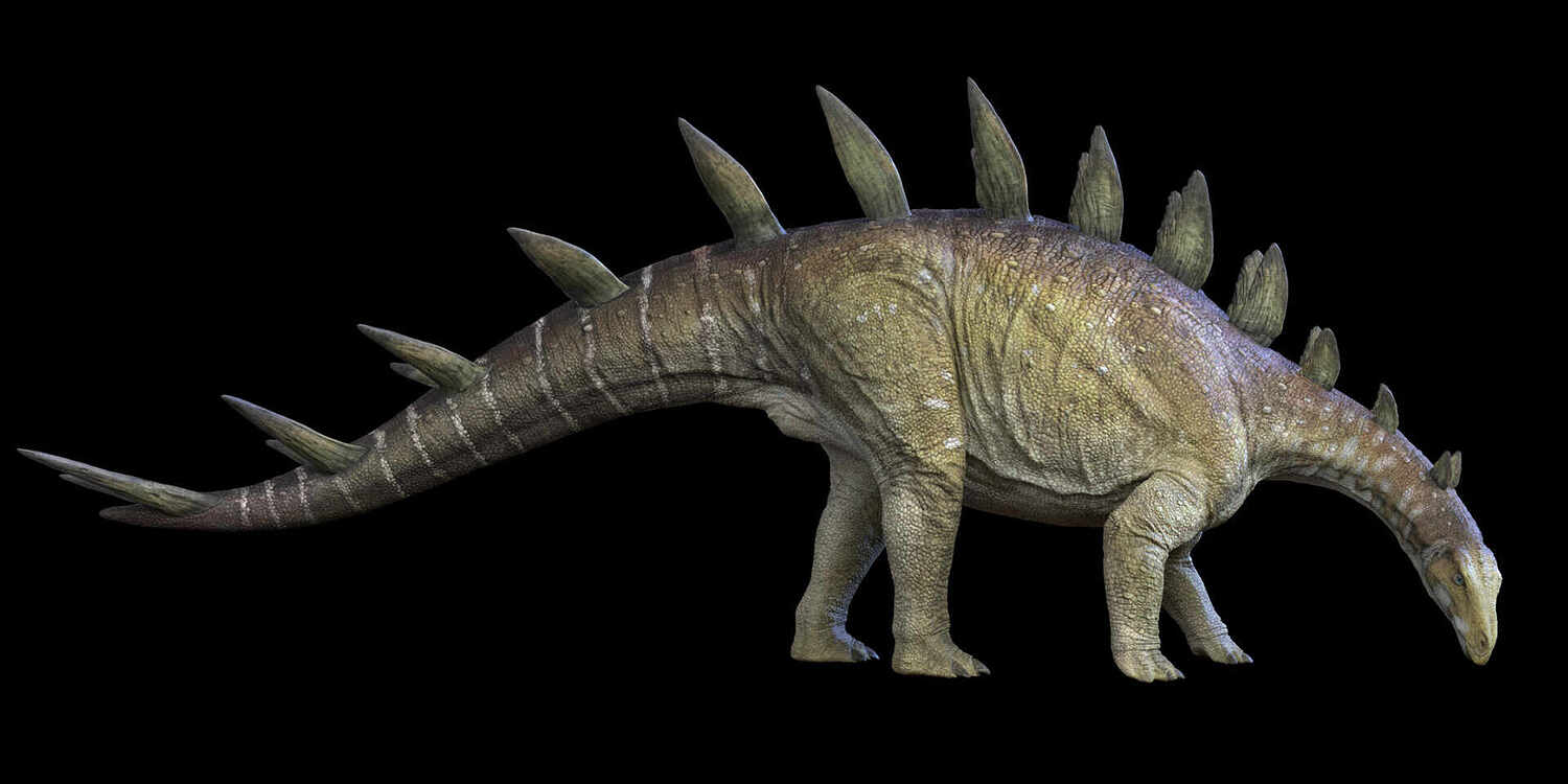 LIFE-SIZE Dinosaurs, Megalodon and other creatures for WA Museum Boola ...