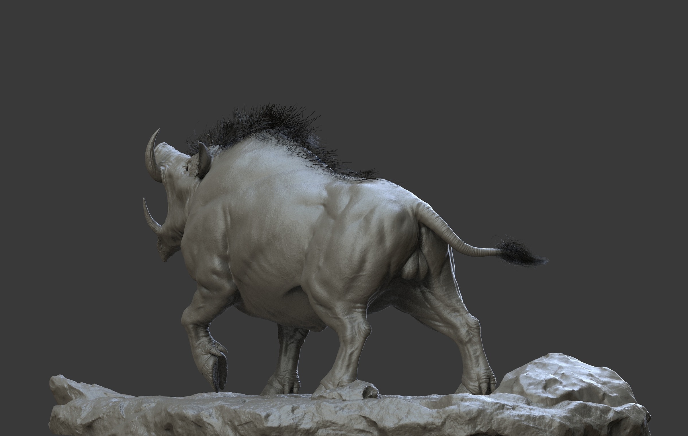 Wild Boar Anatomy Study - ZBrushCentral