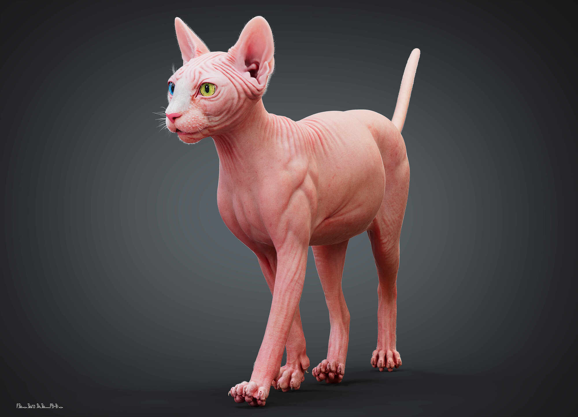 Sphinx cat - ZBrushCentral