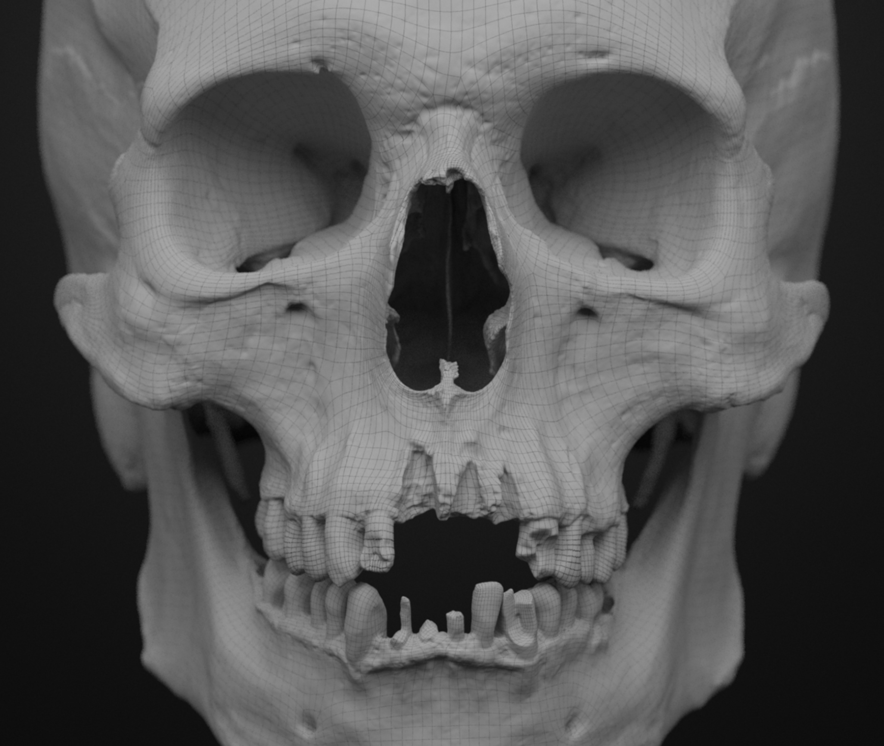 Real Human Skull 3D Scan - ZBrushCentral