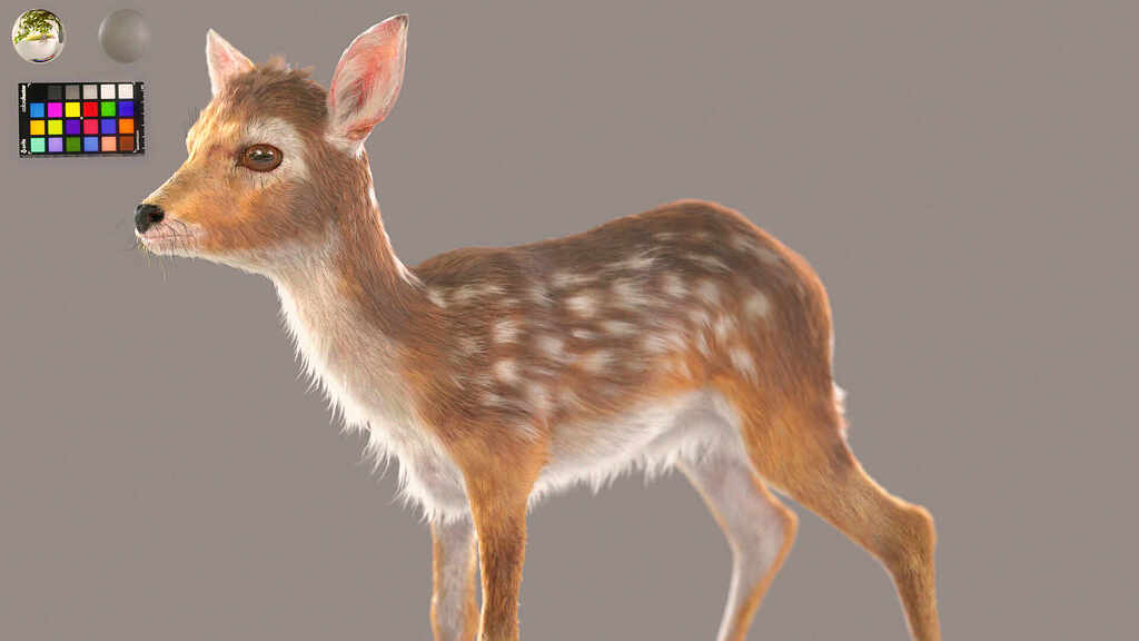 Little Bambi - ZBrushCentral