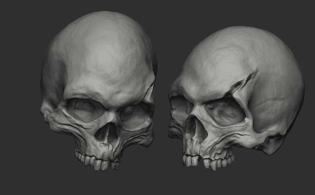 Study (Skull) - ZBrushCentral