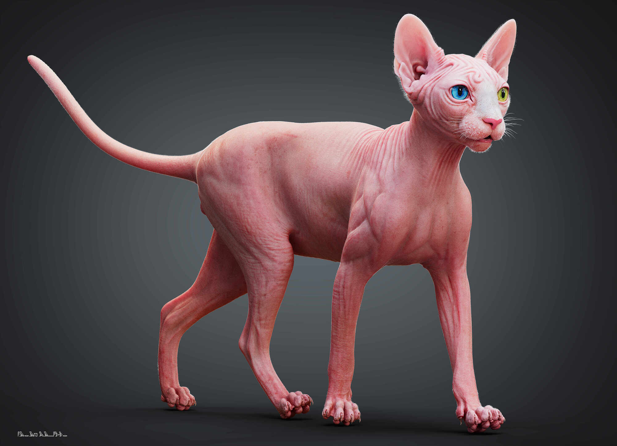 Sphinx cat - ZBrushCentral