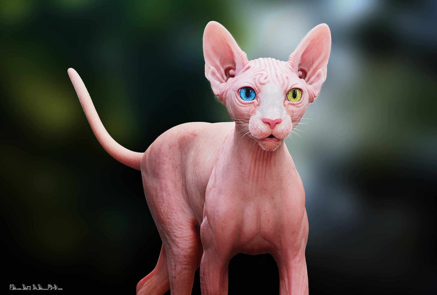 Sphinx cat - ZBrushCentral