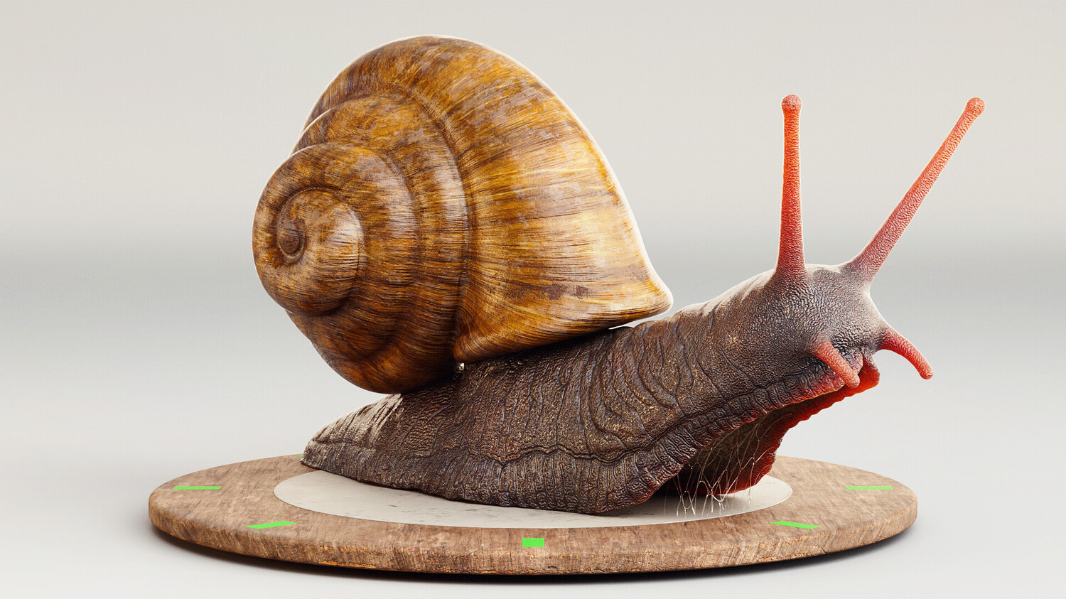 Snail Sculpture - ZBrushCentral