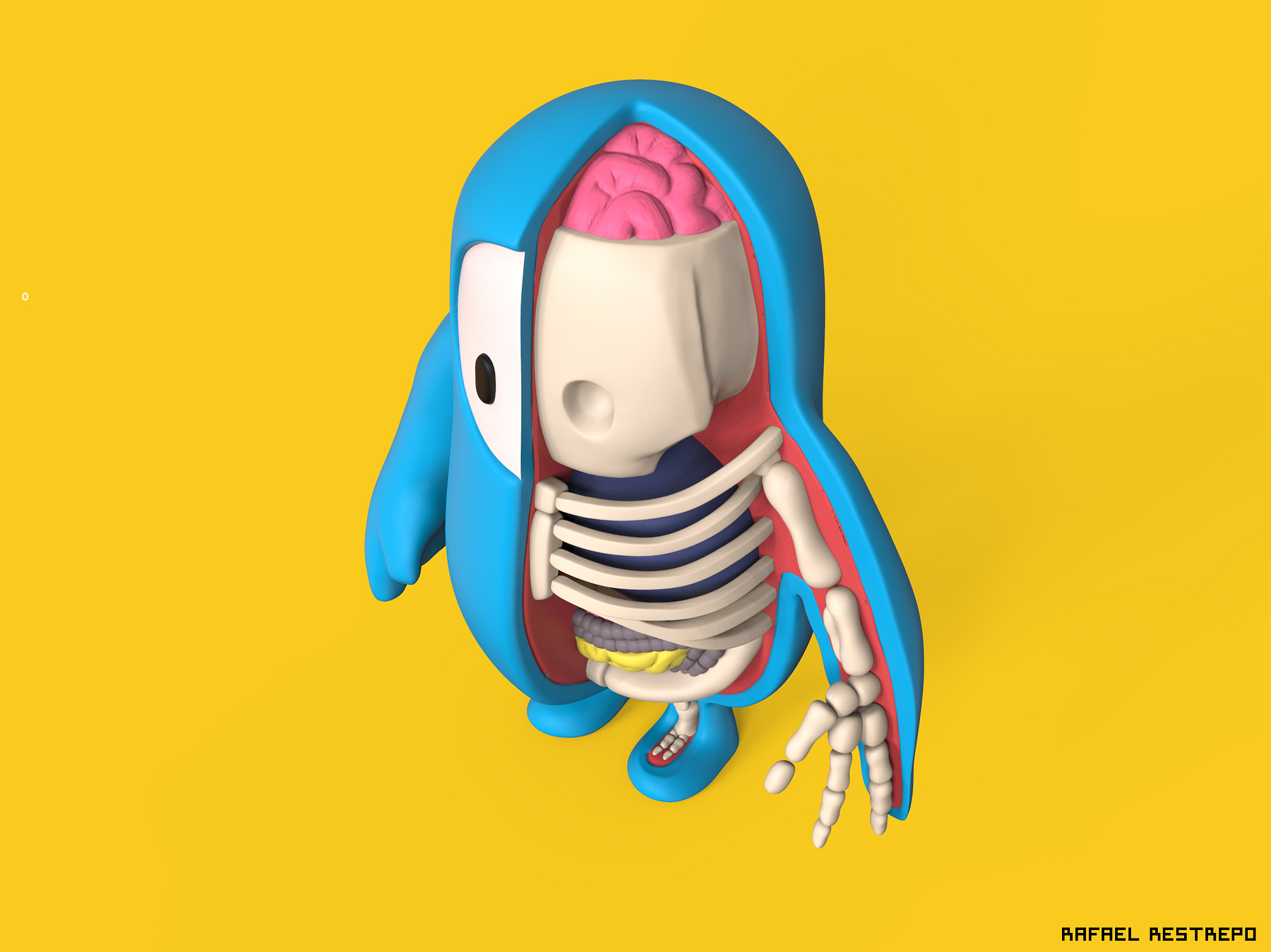 Fall Guys Anatomy - ZBrushCentral