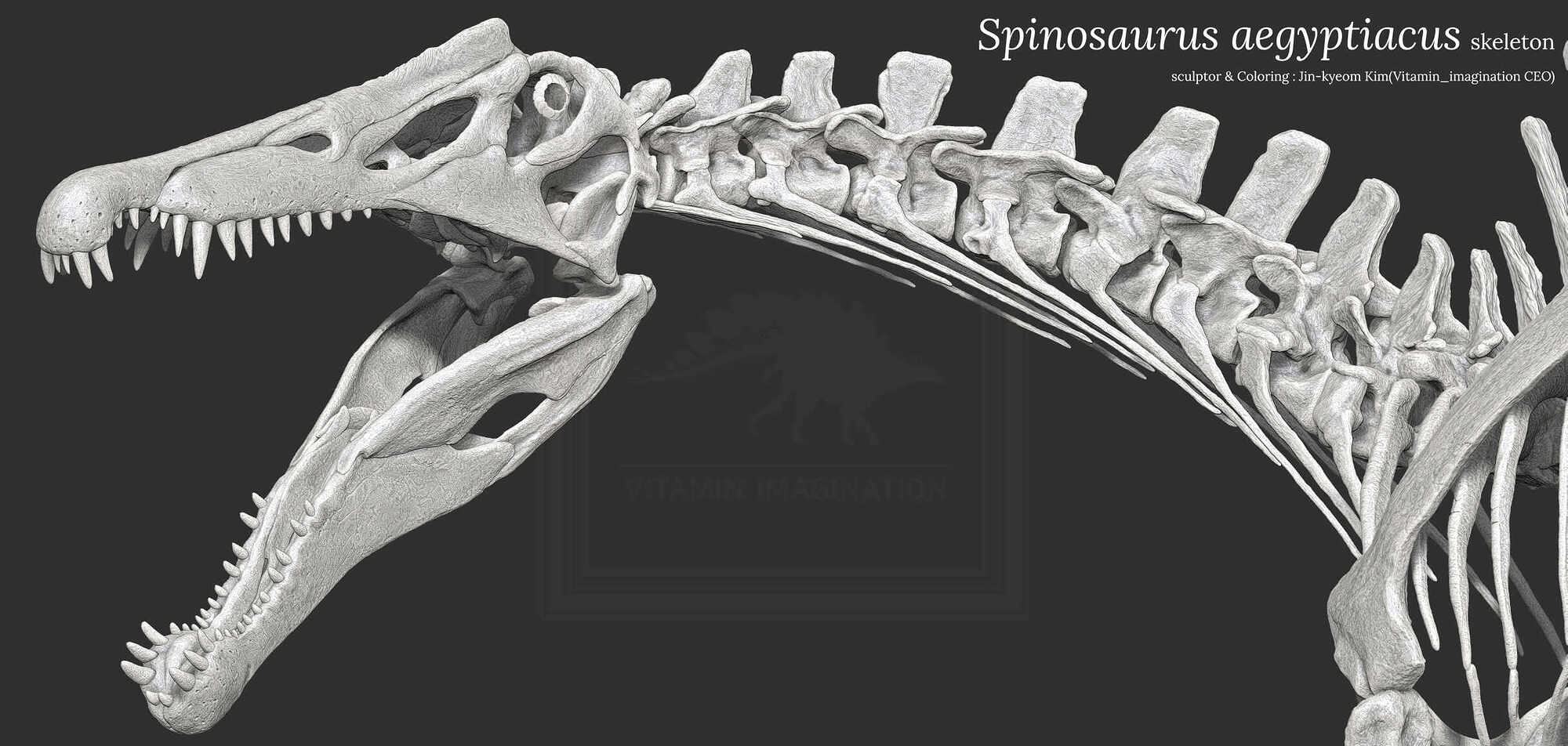 Spinosaurus aegyptiacus skeleton diagram - ZBrushCentral