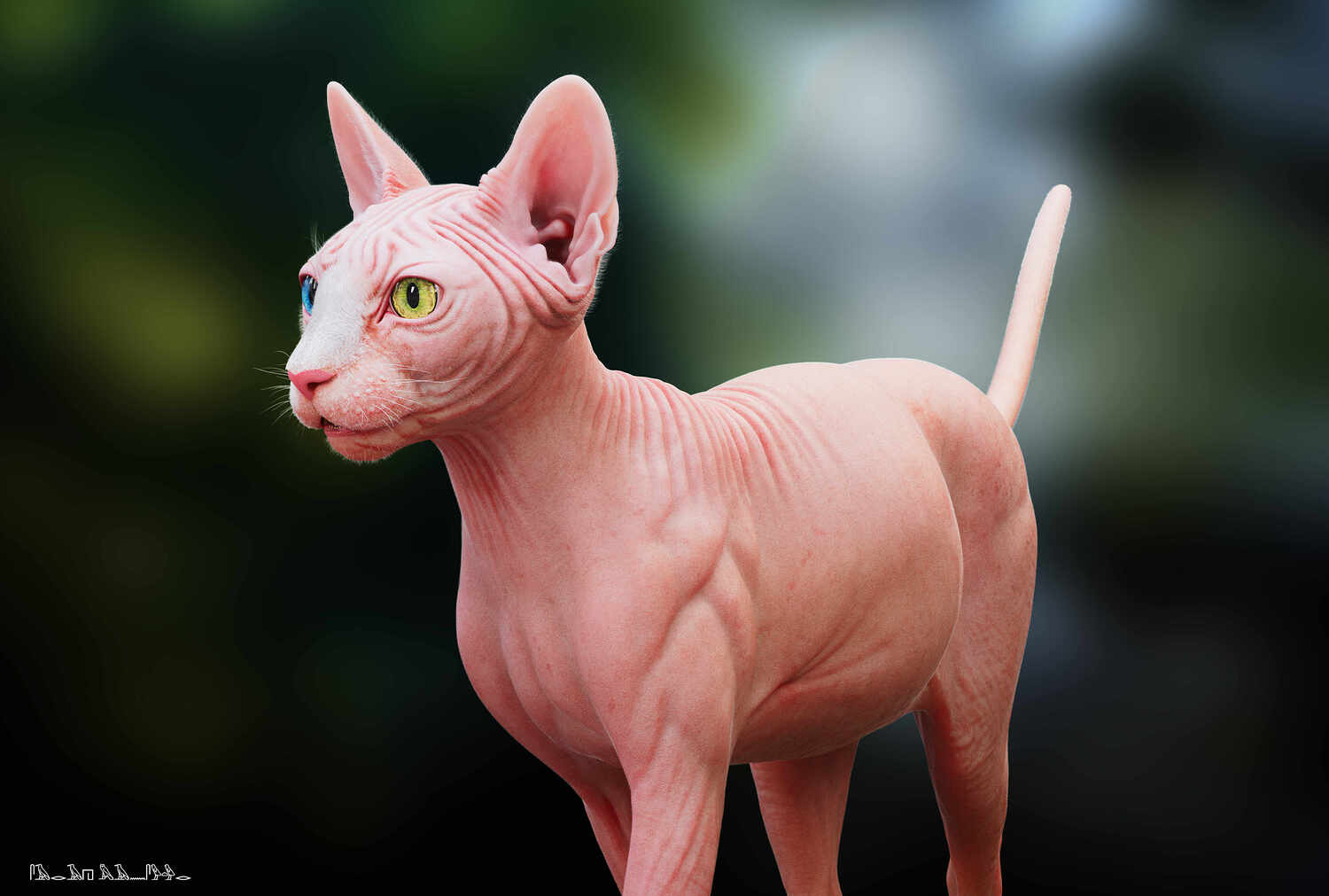 Sphinx cat - ZBrushCentral