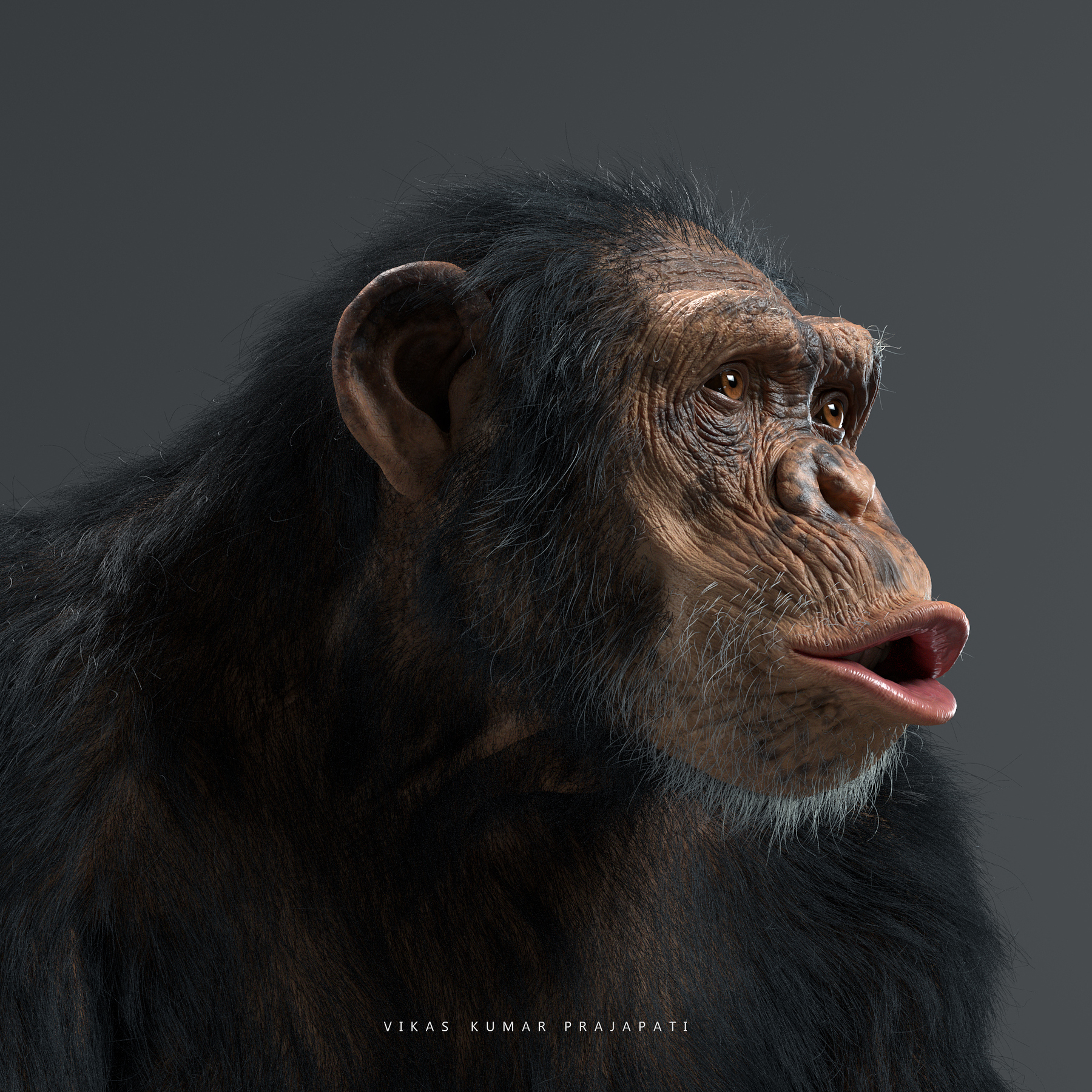 Chimp "Patrick" - ZBrushCentral