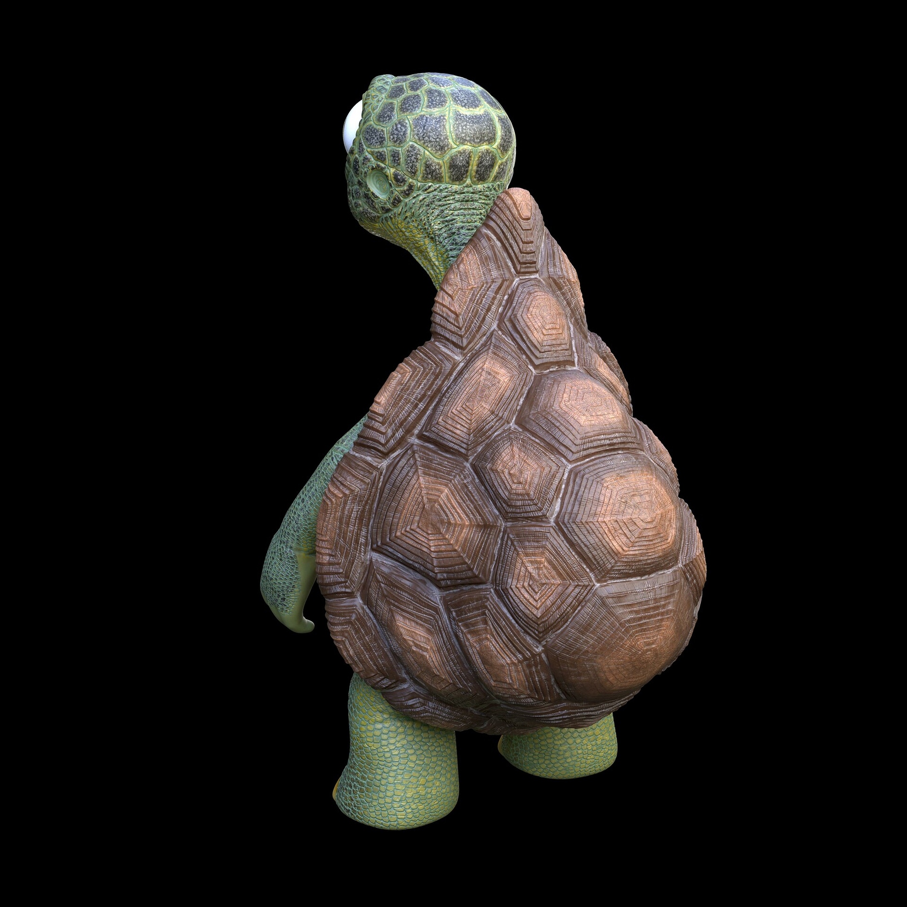 Turtle - ZBrushCentral
