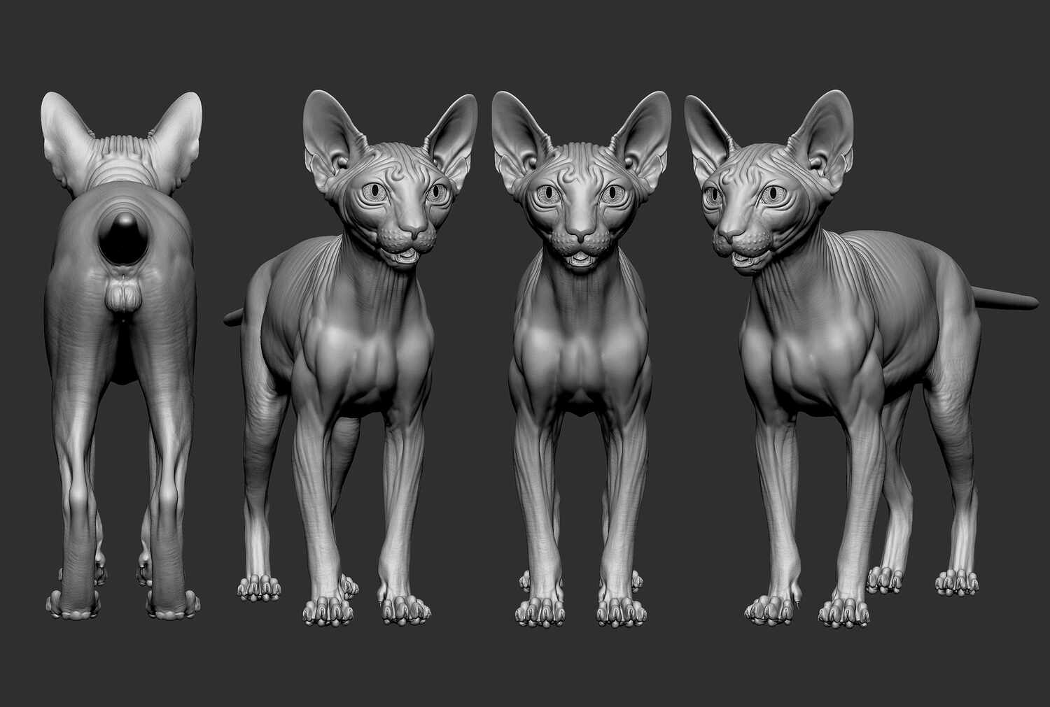 Sphinx cat - ZBrushCentral