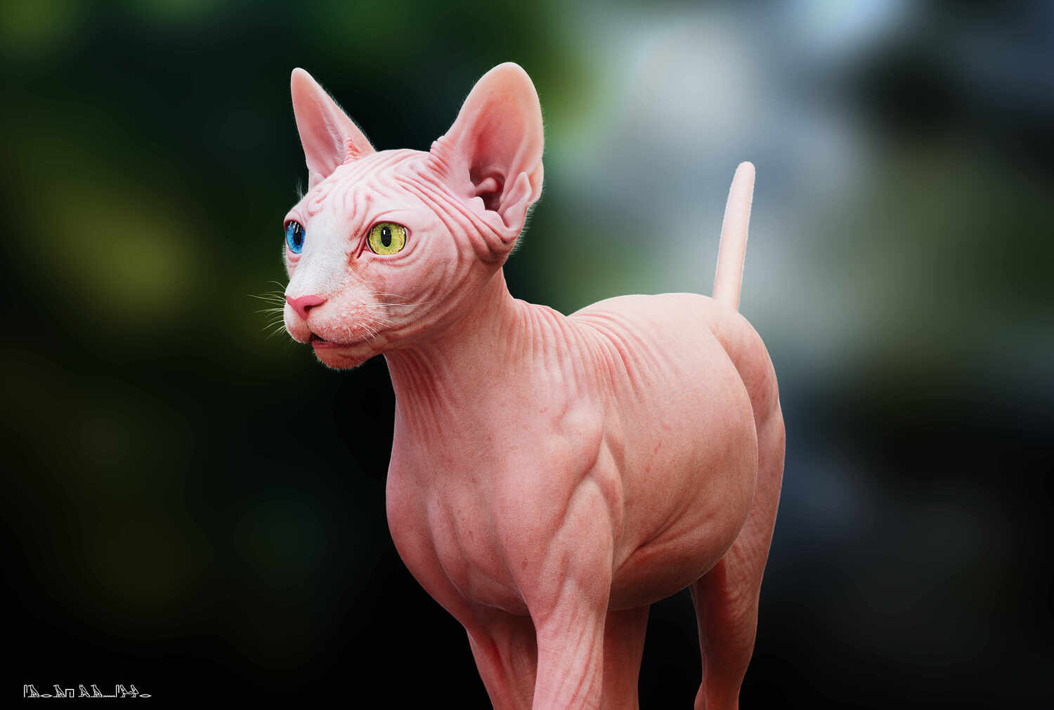 Sphinx cat - ZBrushCentral