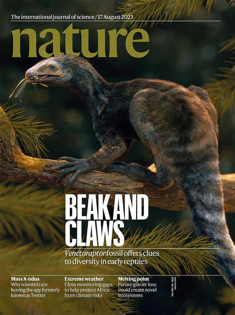 Venetoraptor gassenae - ZBrushCentral