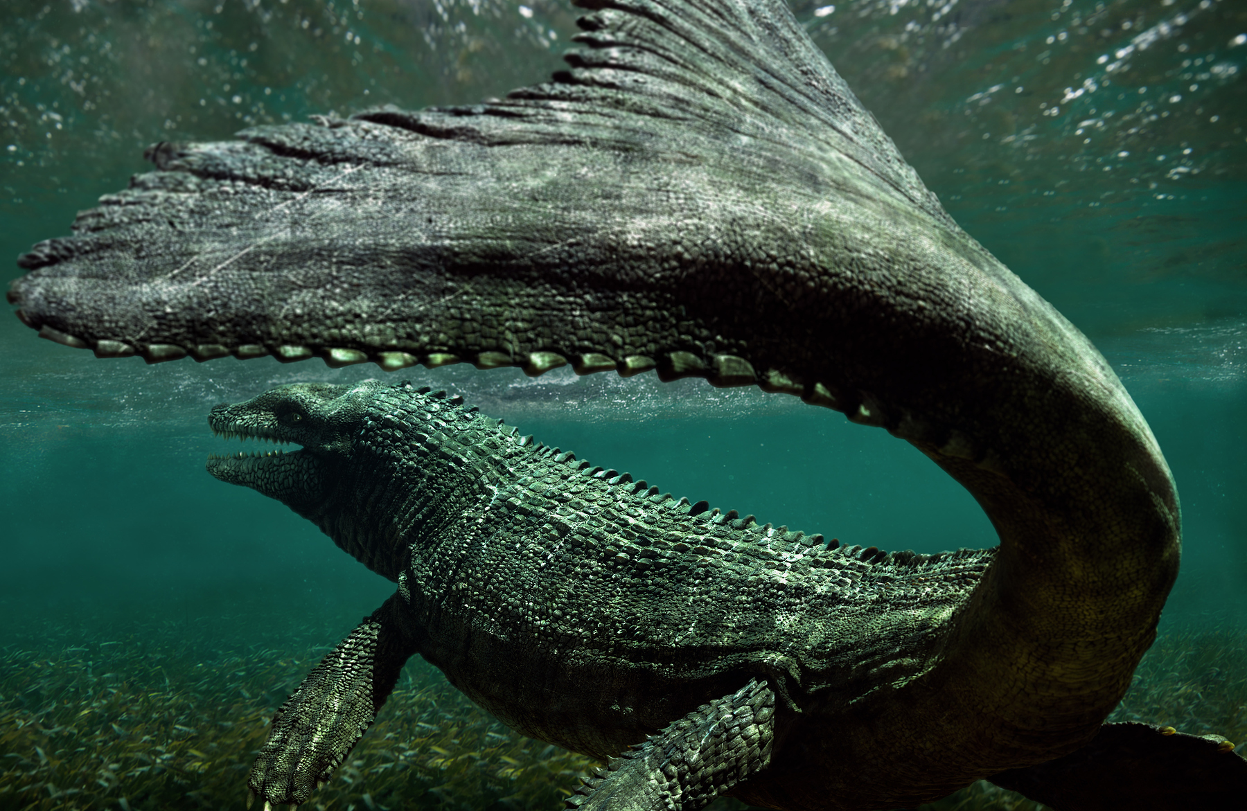 Dakosaurus - ZBrushCentral