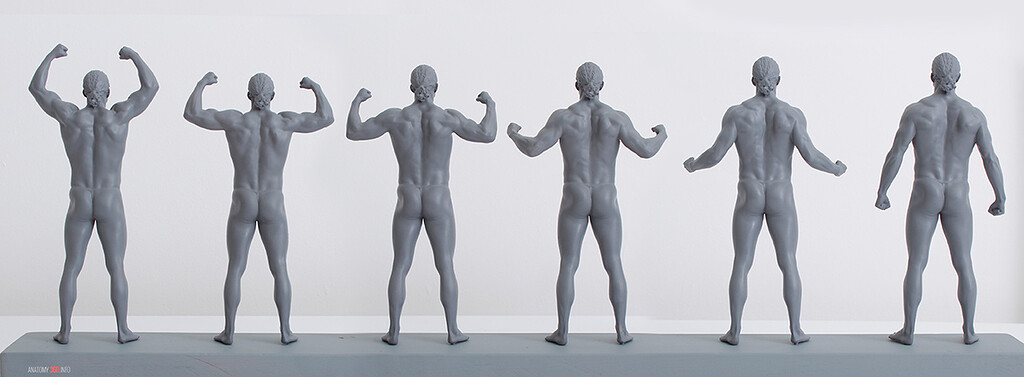 Anatomy in motion (3D printed) - ZBrushCentral