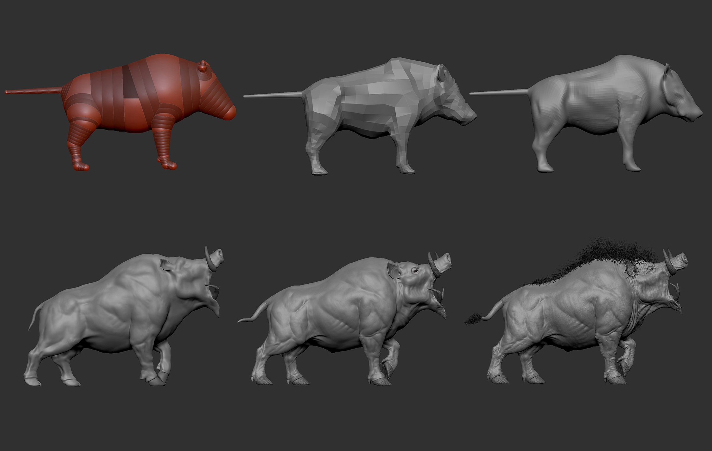 Wild Boar Anatomy Study - ZBrushCentral