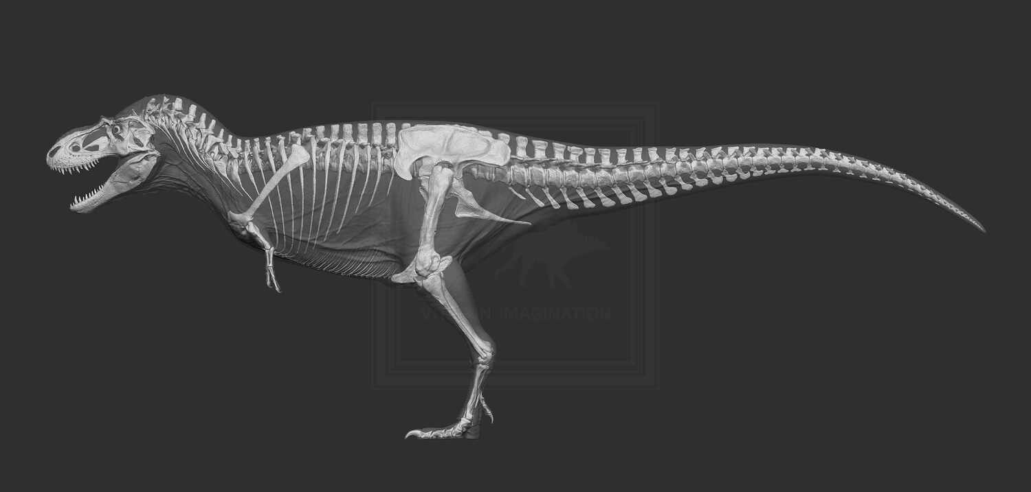 Albertosaurus sarcophagus - ZBrushCentral