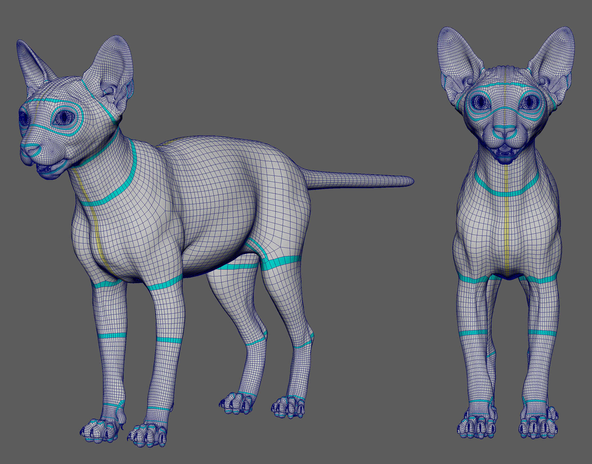 Sphinx cat - ZBrushCentral