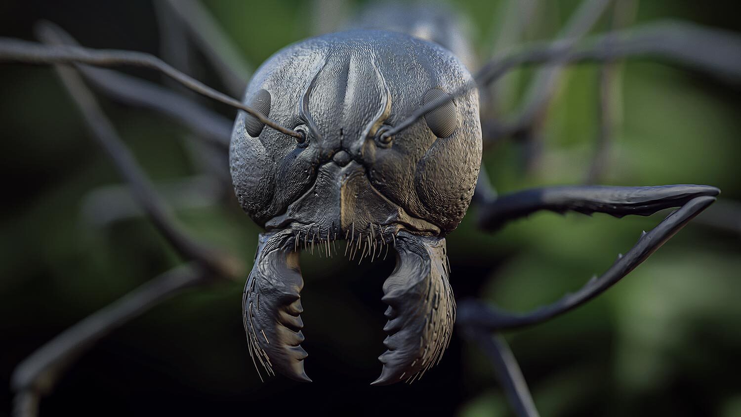 Insect detailing brushes - ZBrushCentral