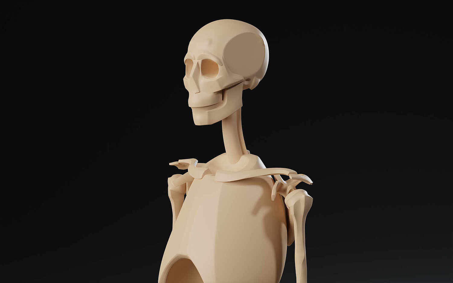 Skeleton Anatomy Study - ZBrushCentral