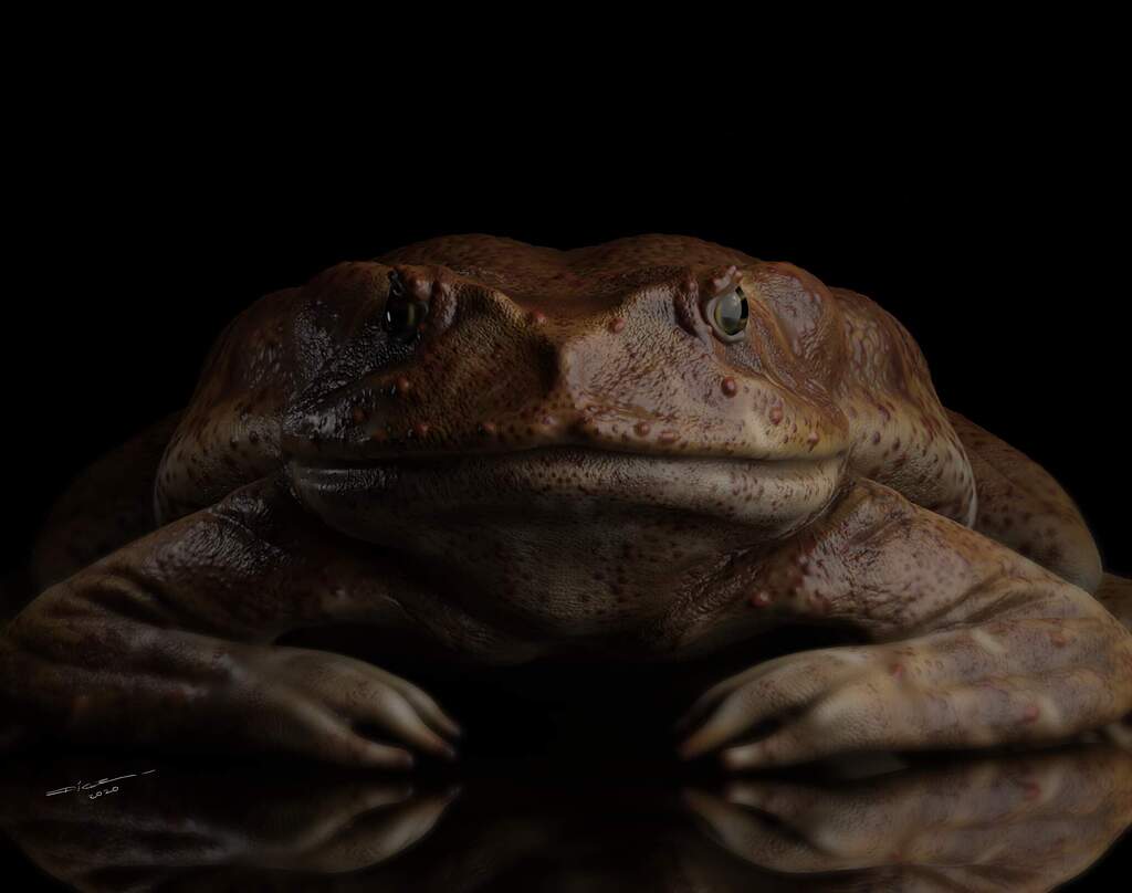 Toad! - ZBrushCentral