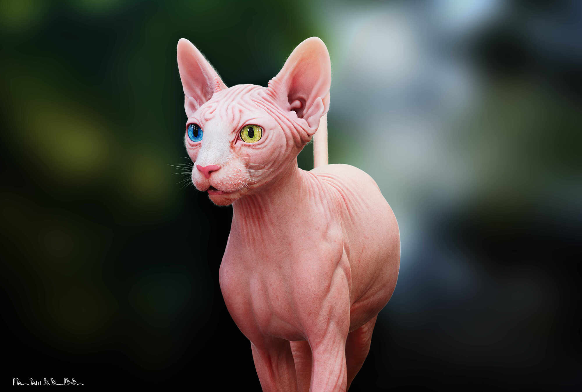 Sphinx cat - ZBrushCentral