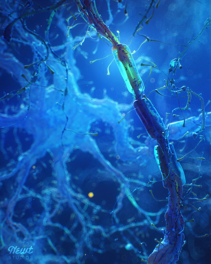 NEURAL IMPULSE - ZBrushCentral