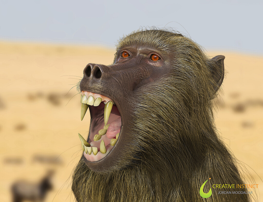 Baboon bust - Final image - ZBrushCentral