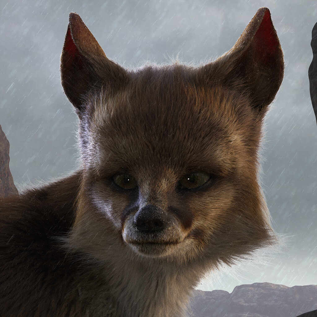 Blanford's fox - ZBrushCentral