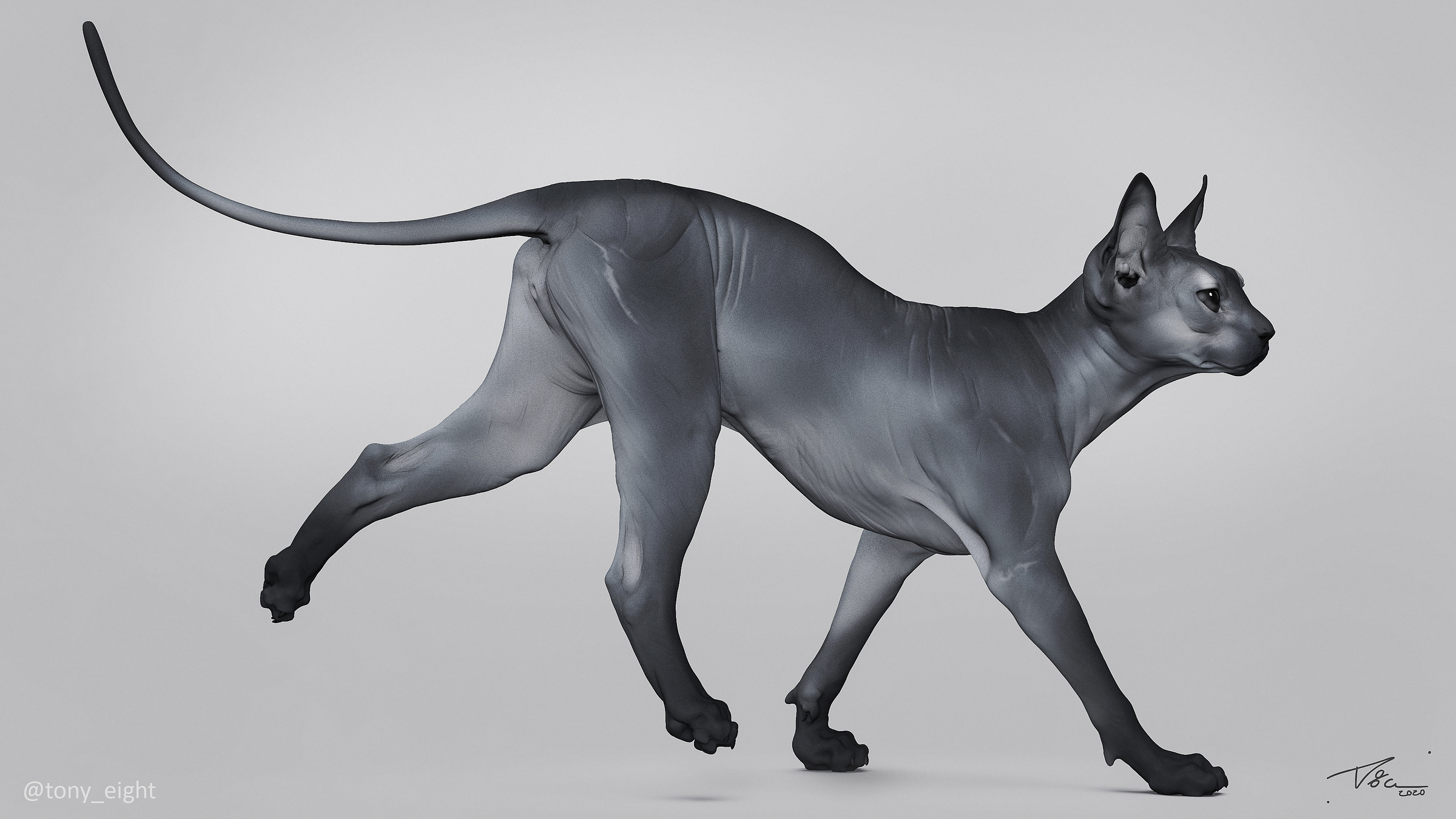 Sphynx cat (study 02) - ZBrushCentral