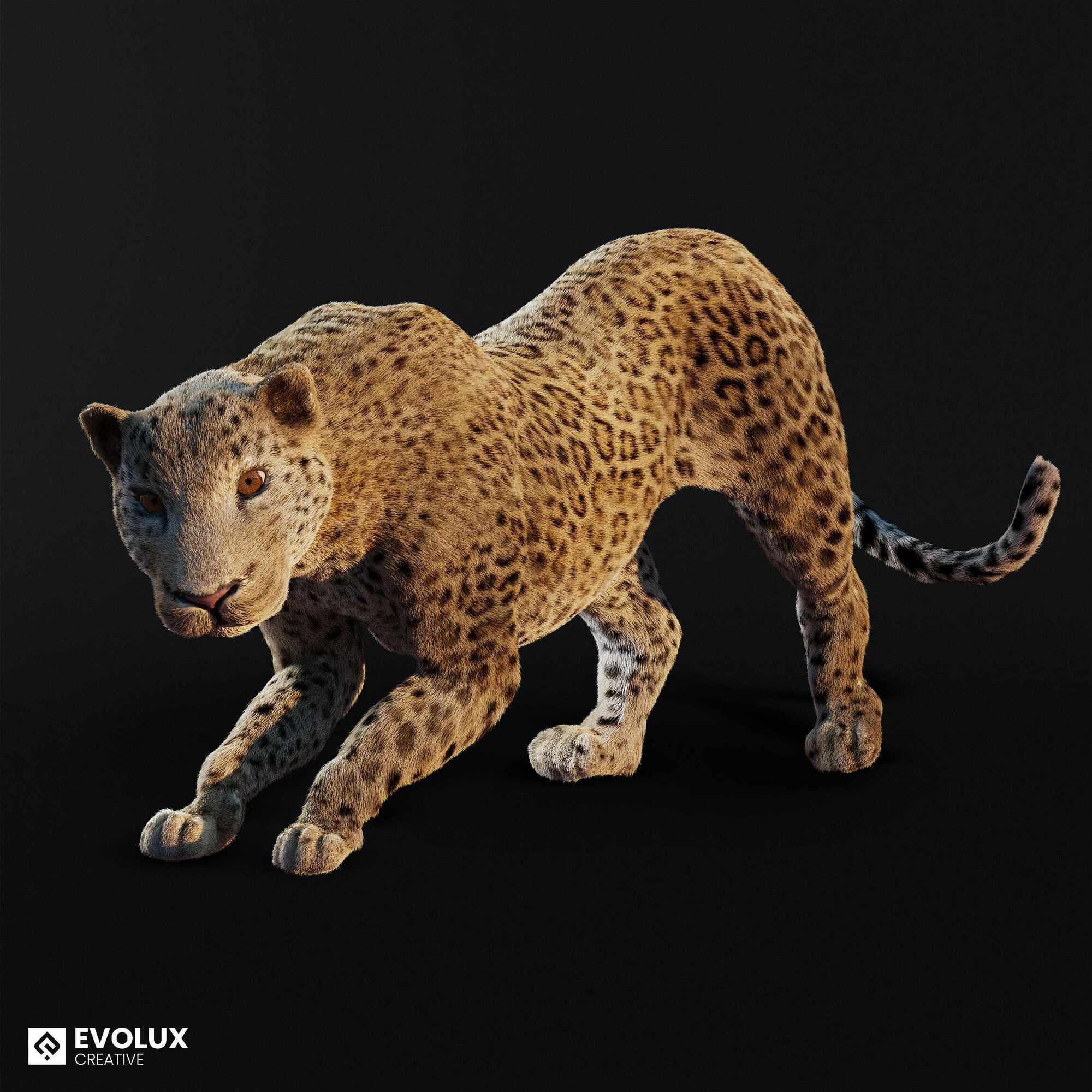 Realistic Leopard 3D Model - Made By Evolux - ZBrushCentral