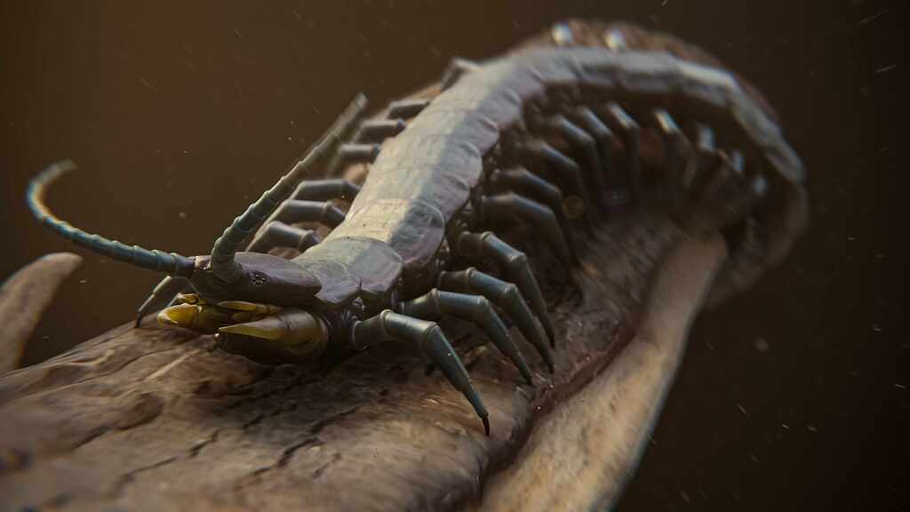 Rhysida celeris - Blue Centopede - ZBrushCentral