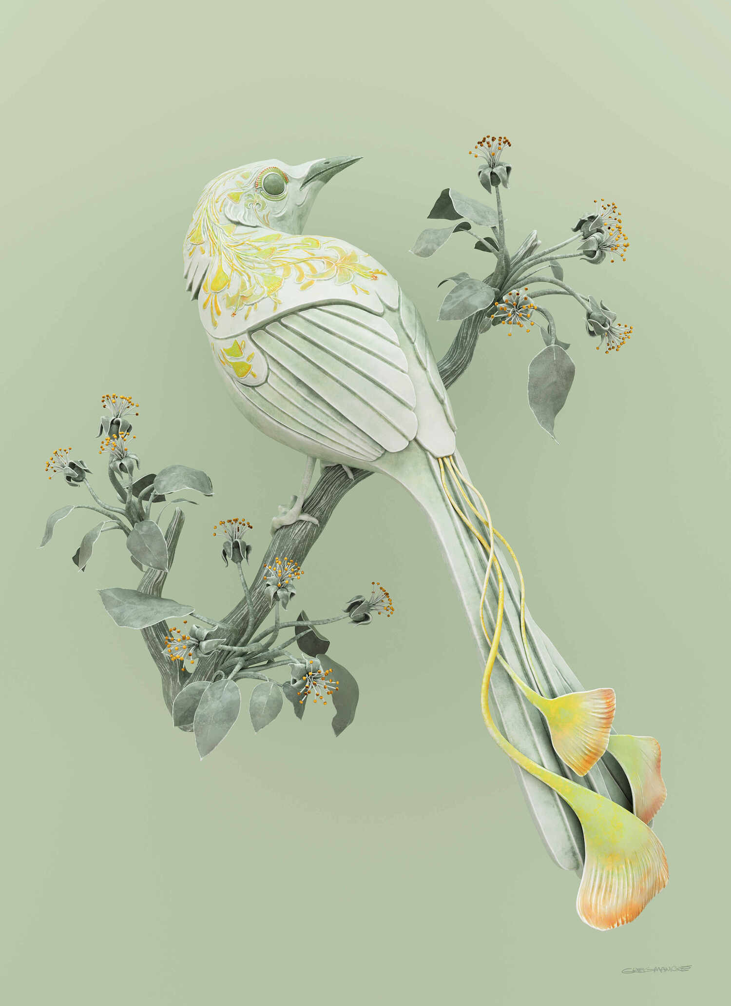 Bird - ZBrushCentral