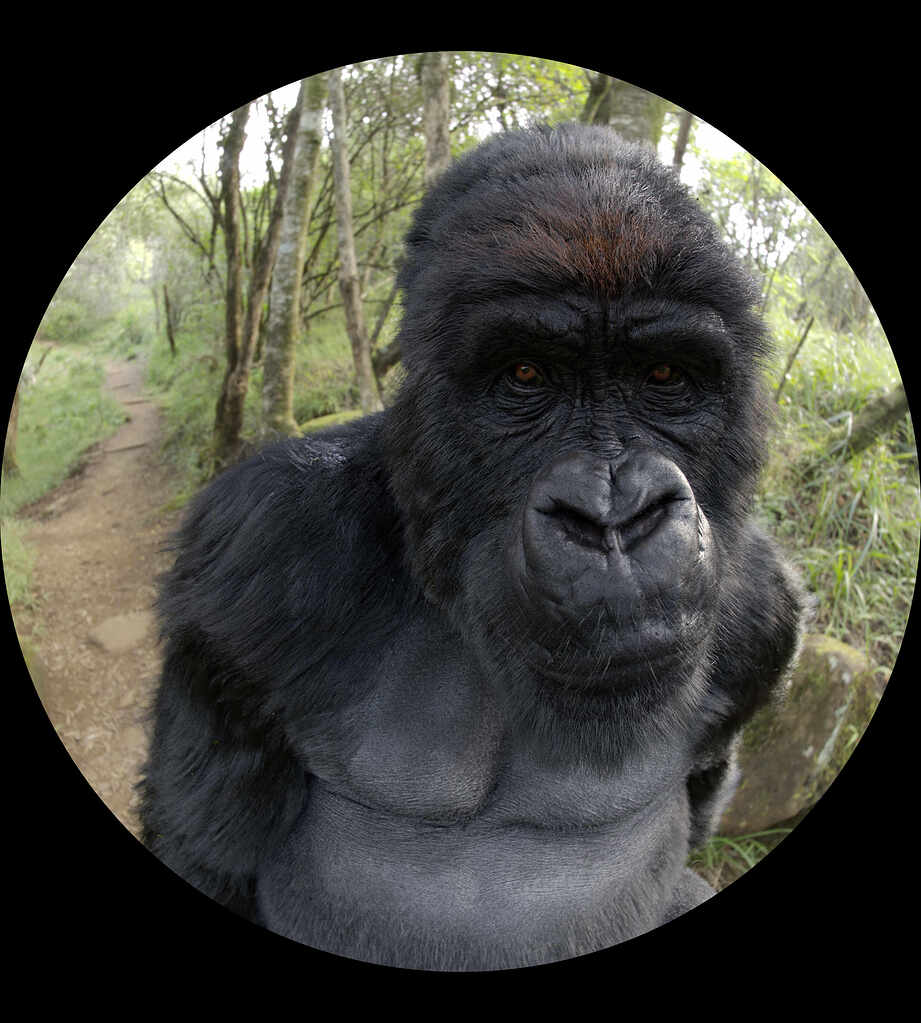 Too close! - ZBrushCentral