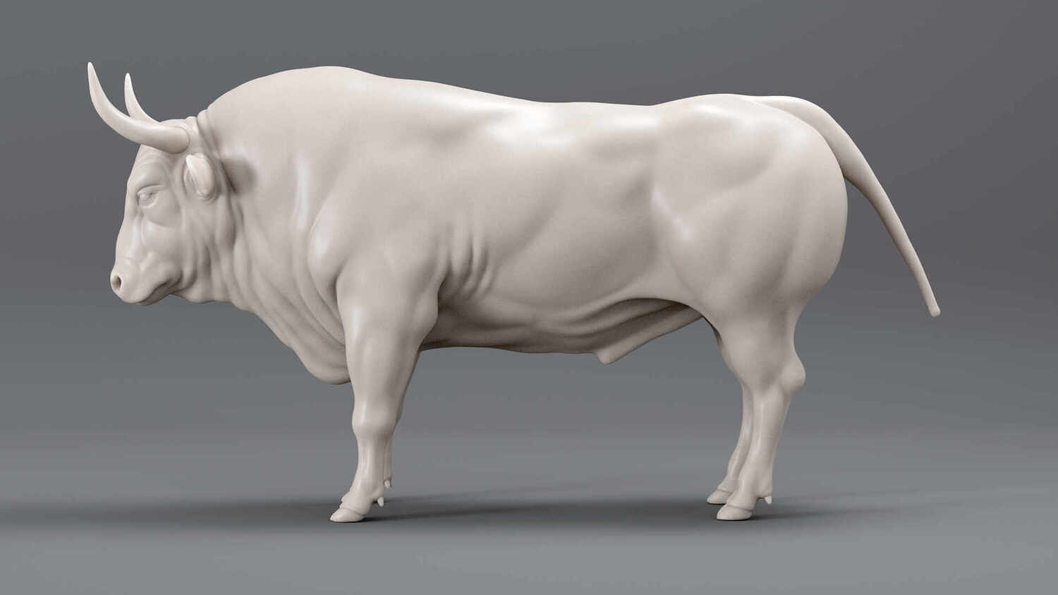 Bull - ZBrushCentral