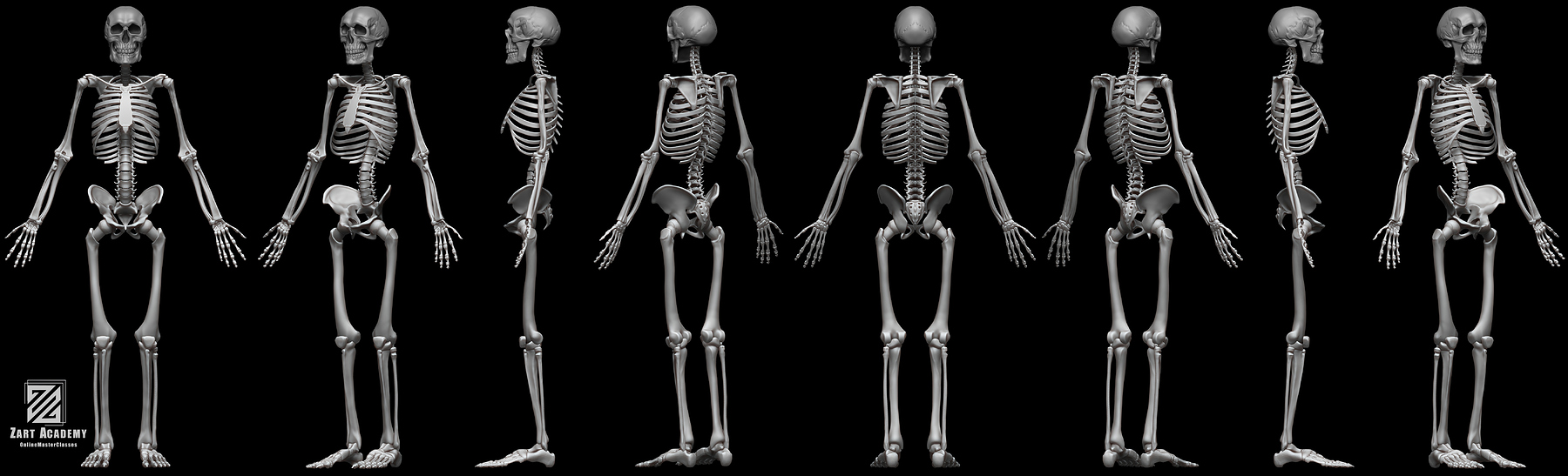 SKELETON FAN ART - ZBrushCentral