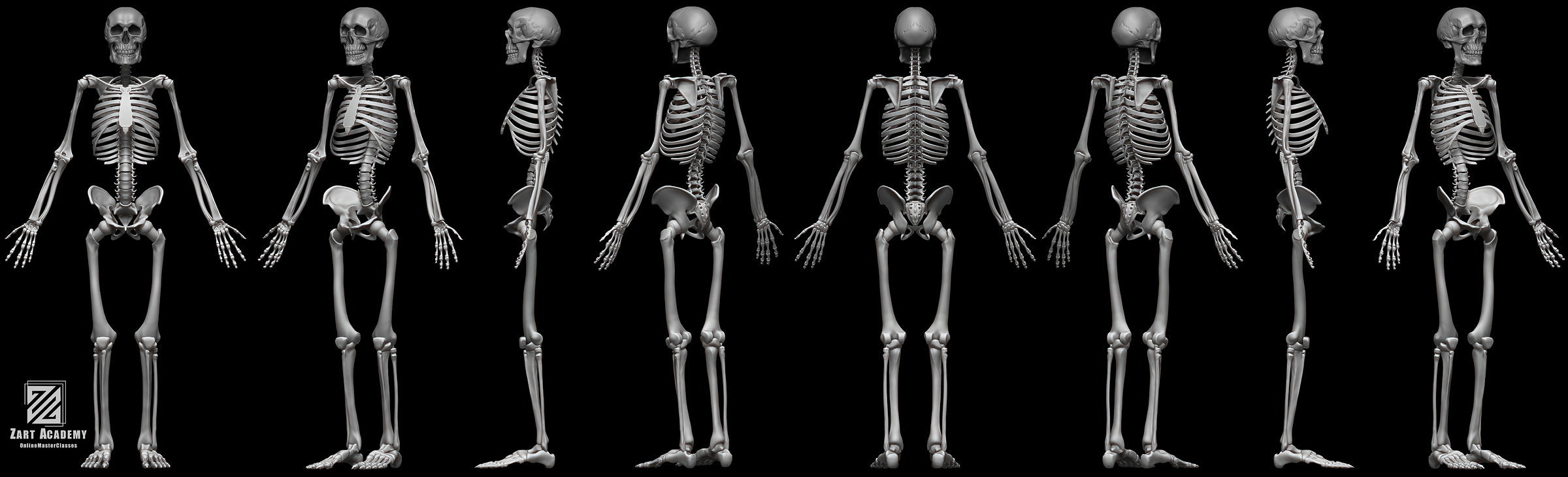 SKELETON FAN ART - ZBrushCentral