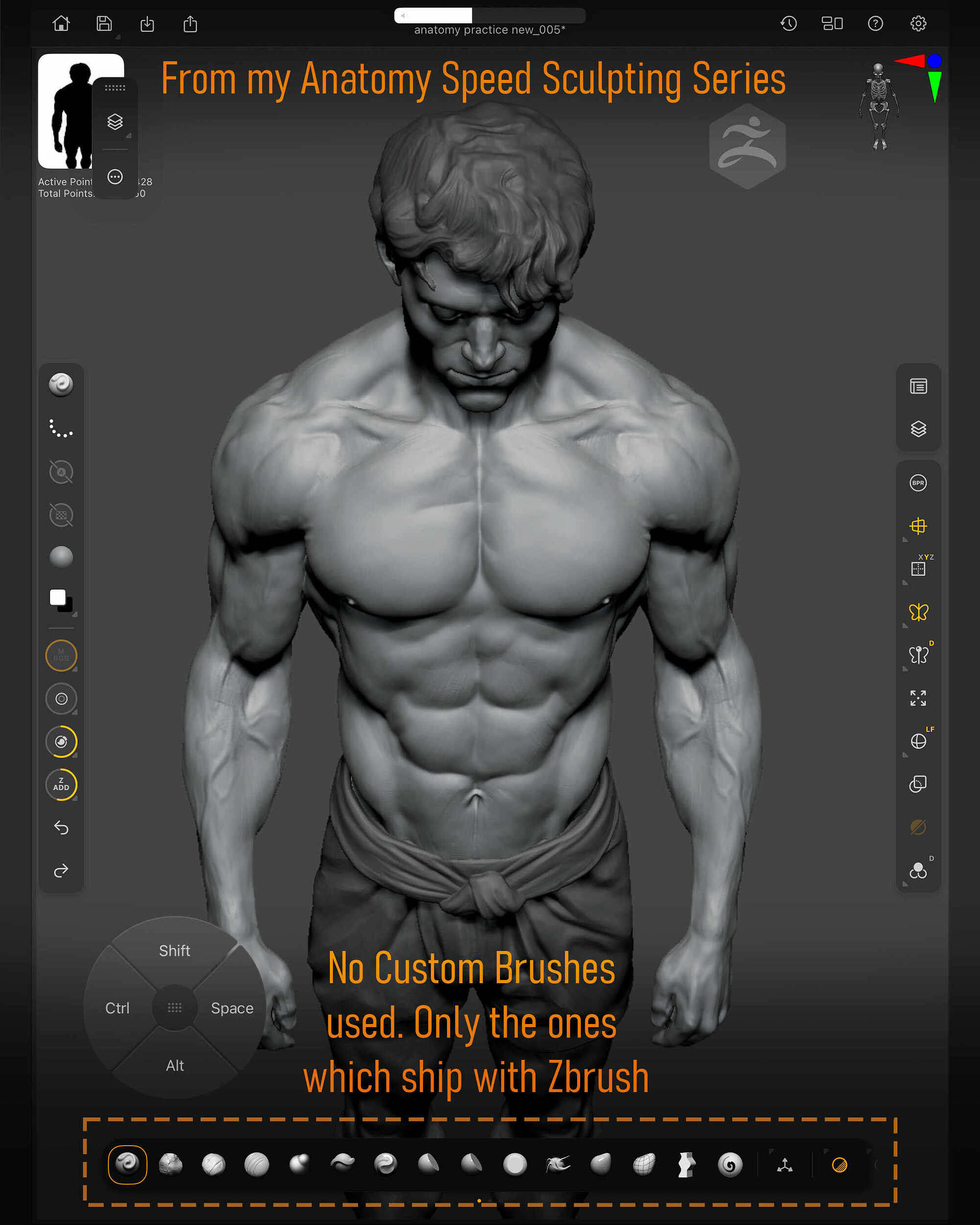 Anatomy Speed Sculpting Series - ZBrushCentral