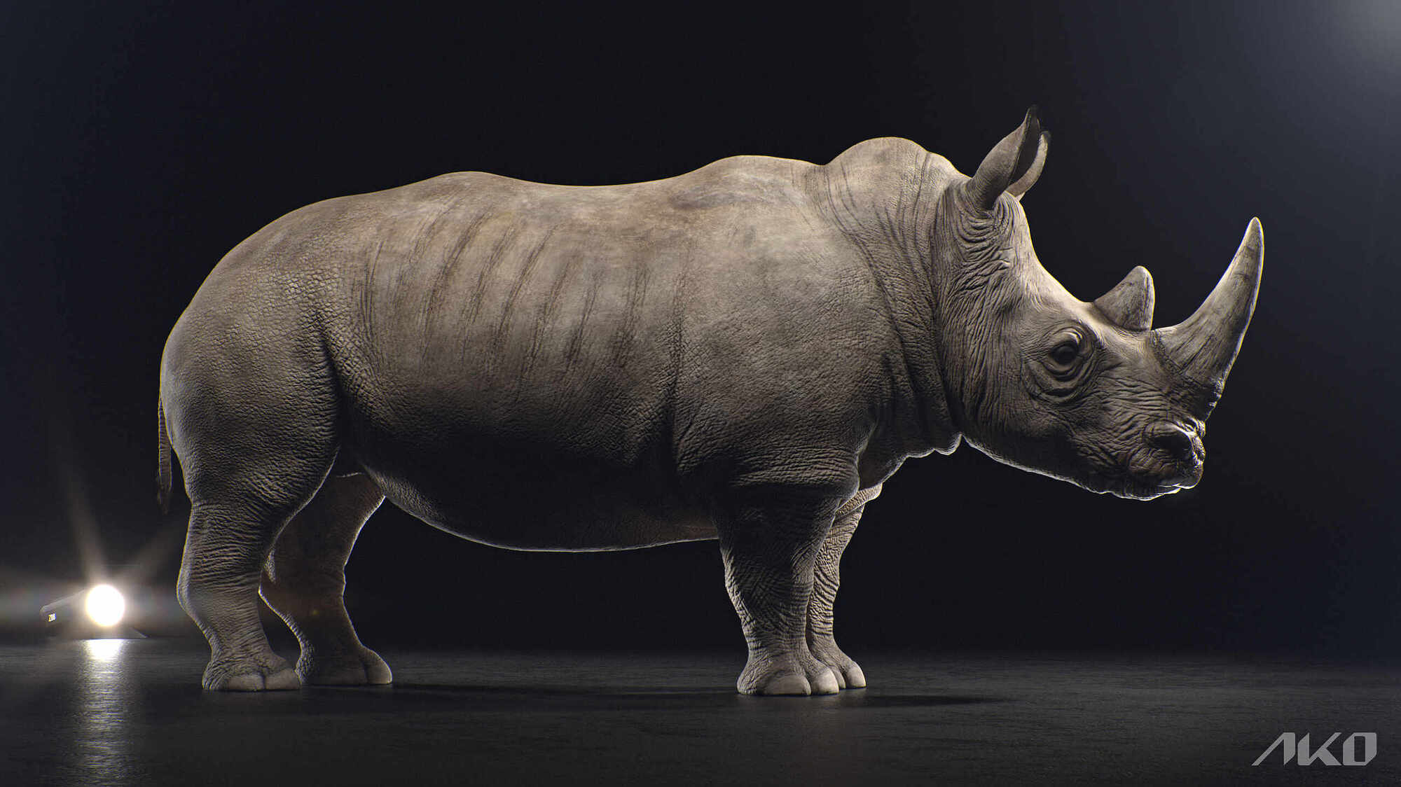 Northern White Rhinoceros - ZBrushCentral