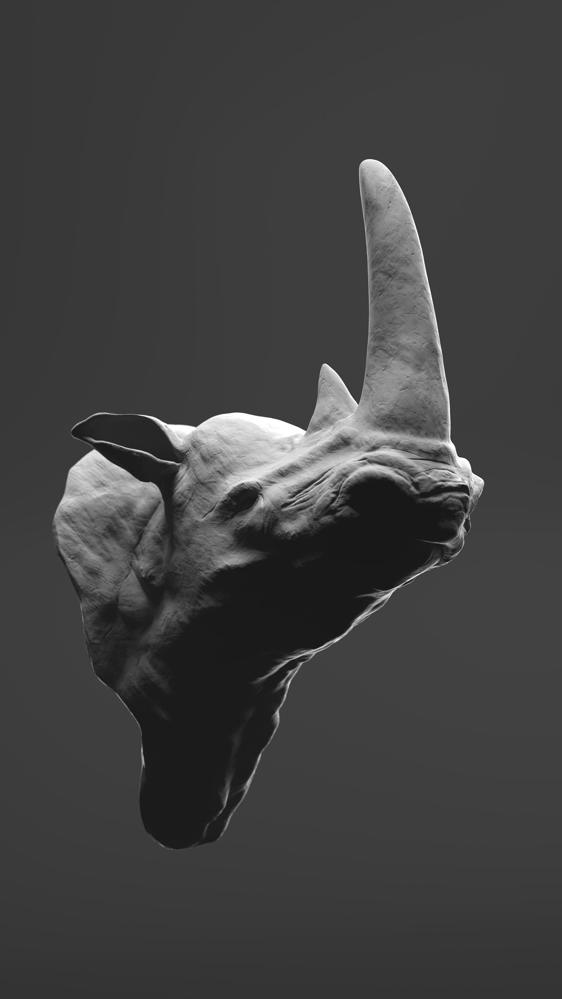 The rhino - ZBrushCentral