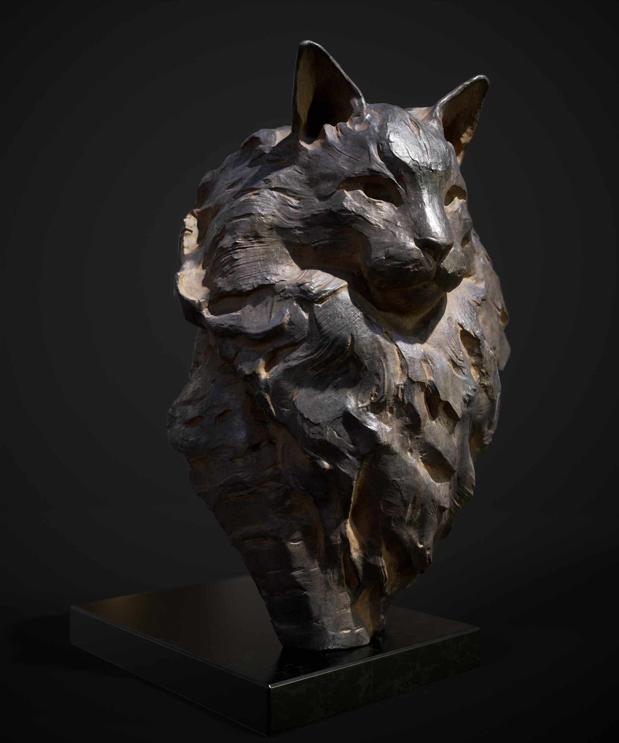 CATS - ZBrushCentral